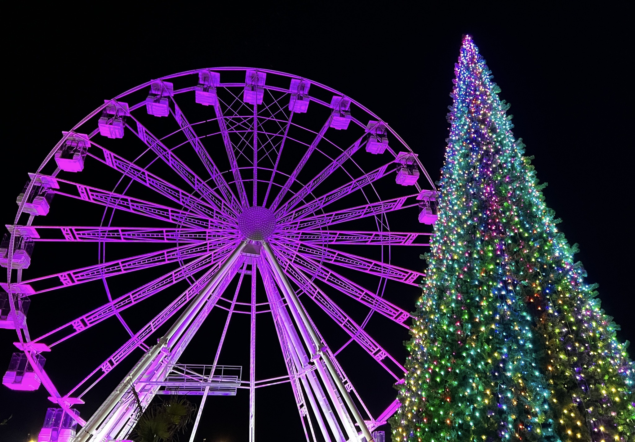 Yorkshire Wildlife Park's Epic Winter Illuminations Return To Doncaster ...