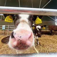 16 Of The Best Farm Shops In Yorkshire - The Yorkshireman