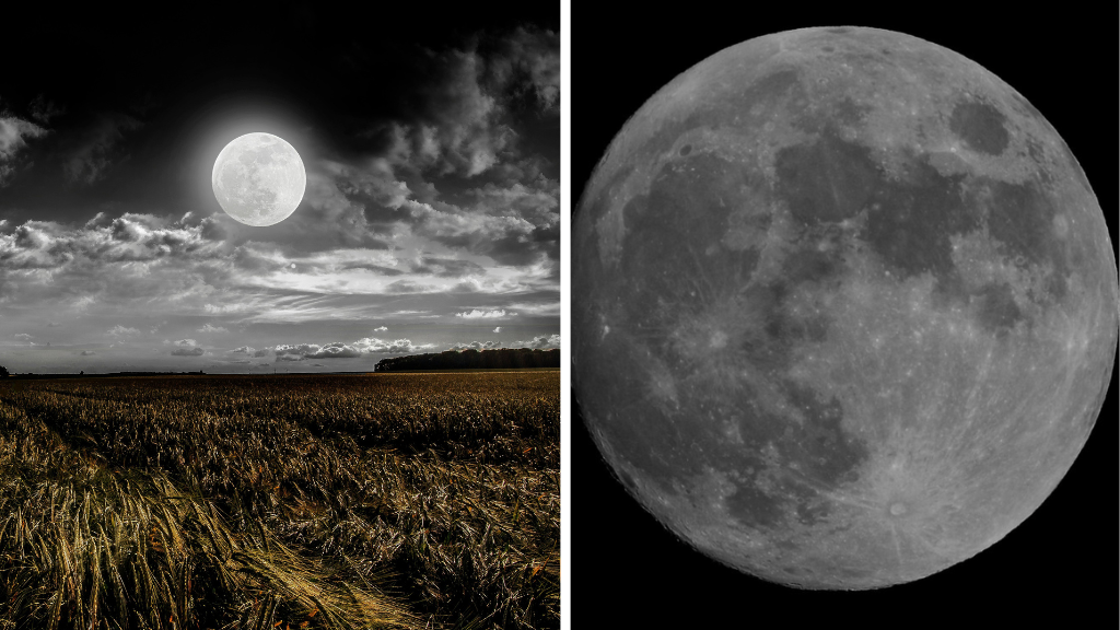 Best Time To Observe 'Spectacular' Full Beaver Moon In Tonight's Sky ...