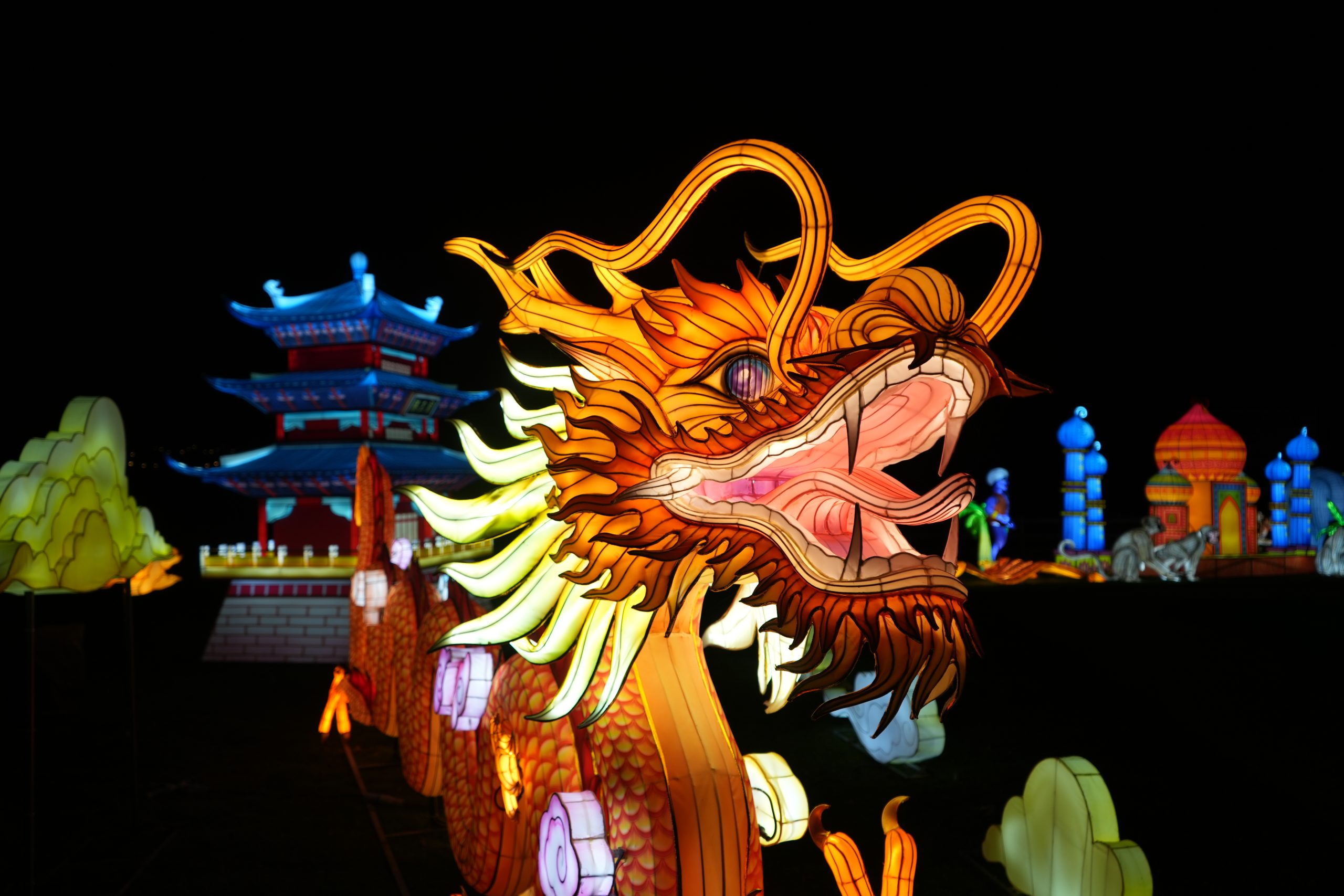 Yorkshire Wildlife Park's Epic Winter Illuminations Return To Doncaster ...