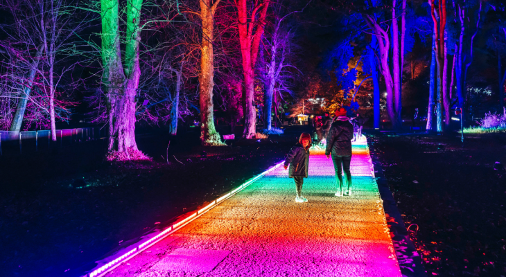 8 Of The Best Christmas Light Trails In Yorkshire 2024
