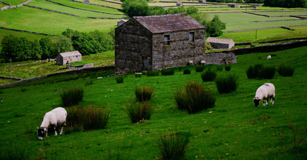 How do you say hello in Yorkshire?