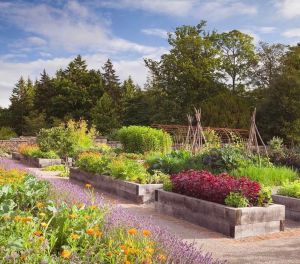 Rudding Park To Open Fifty Two: Immersive Dining With No Menu