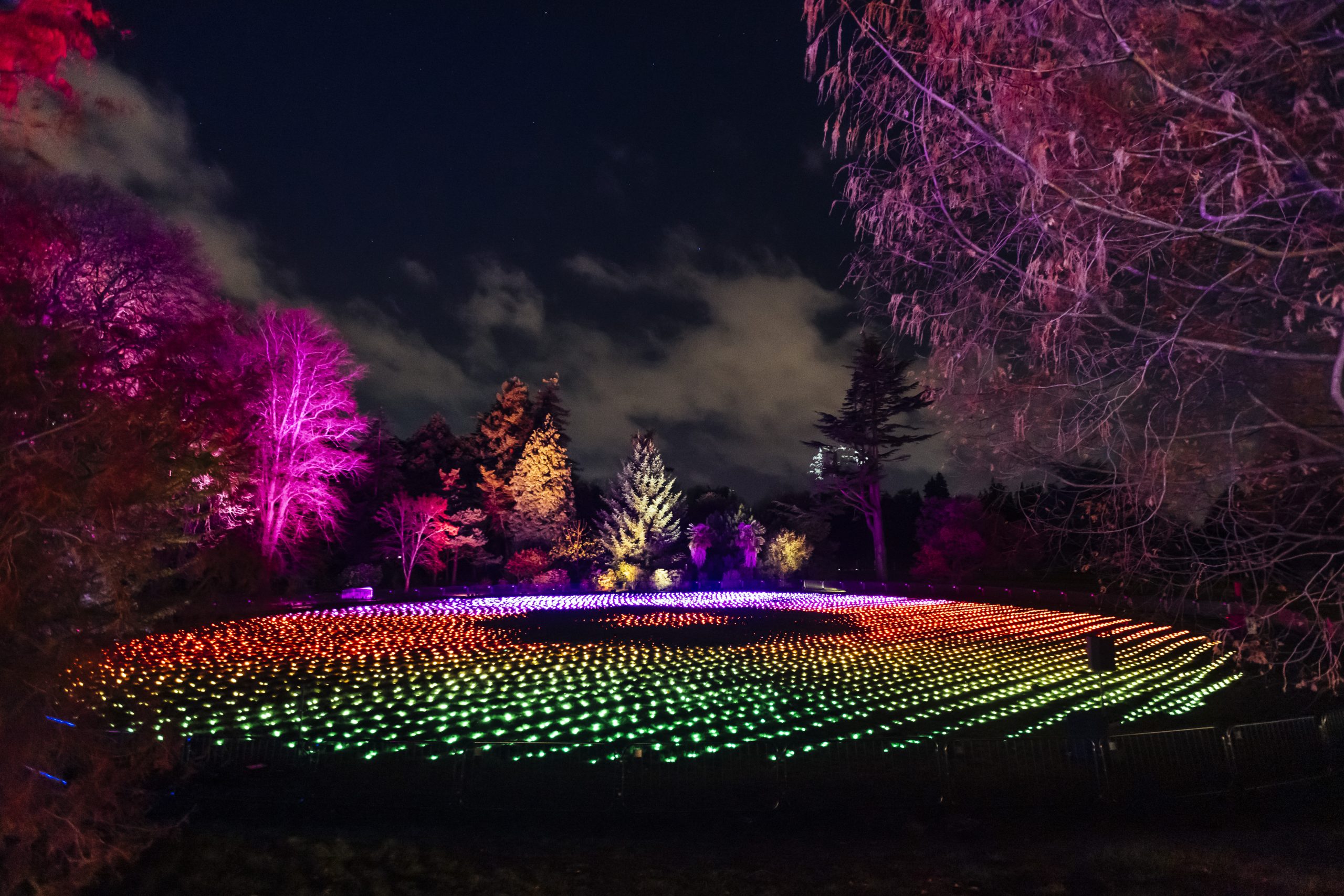 An Immersive Northern Lights Light Trail Is Coming To Yorkshire This ...