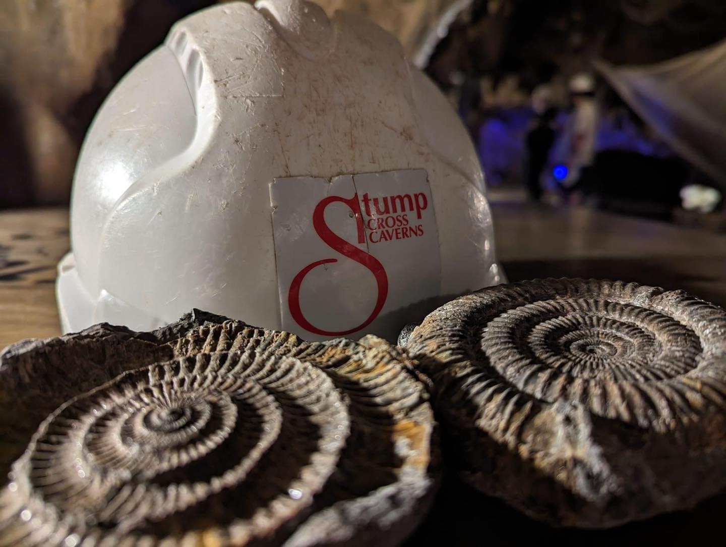 Stump Cross Caverns: Pre-Historic Yorkshire Beauty Underground