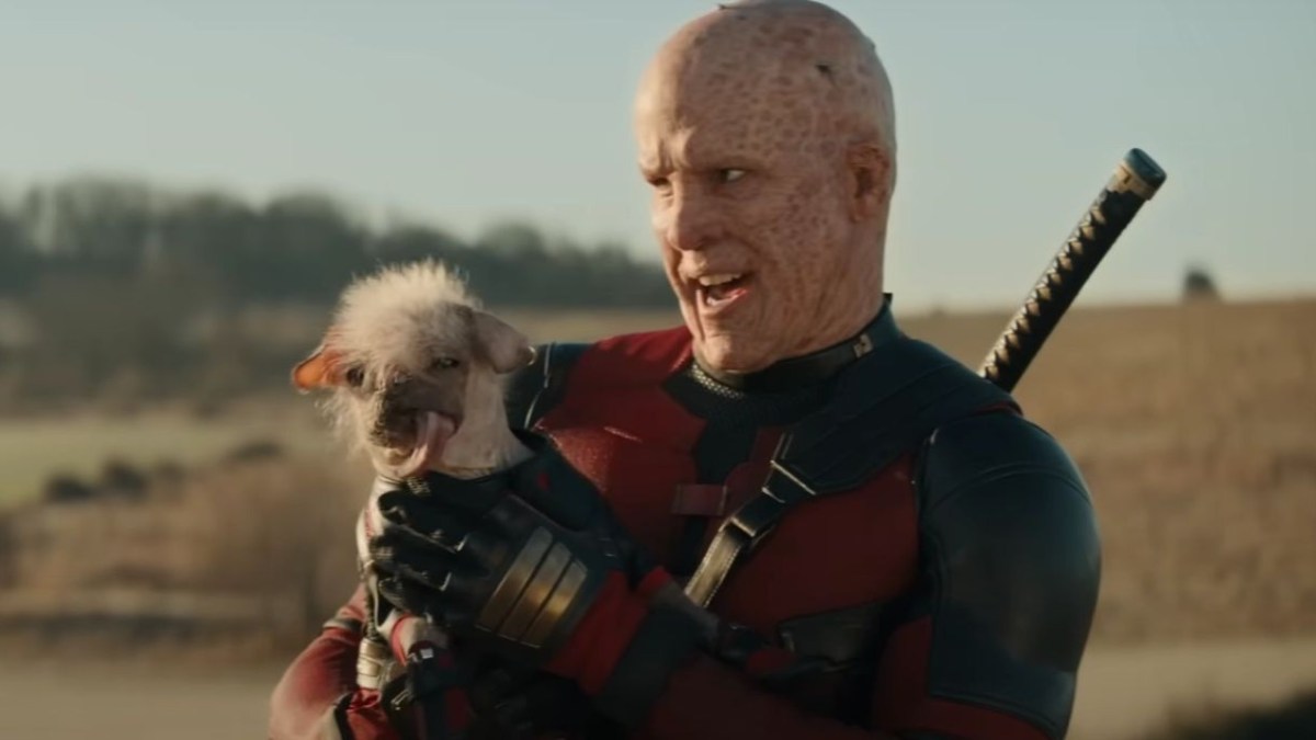 East Yorkshire's 'Ugliest' Dog Is The New Star Of 'Deadpool' 3 - The ...
