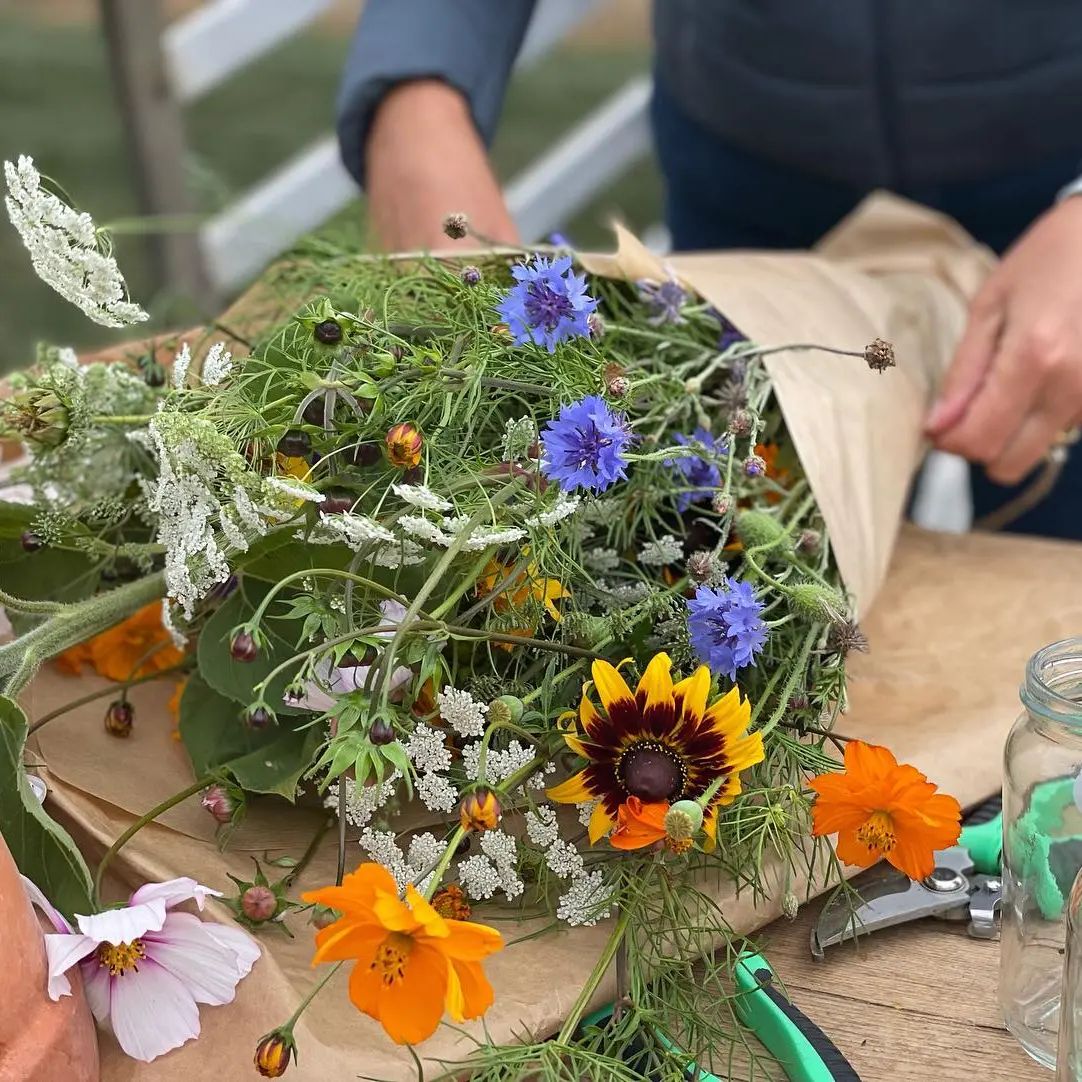 The Flower Belt, Helmsley: PYO Wildflowers