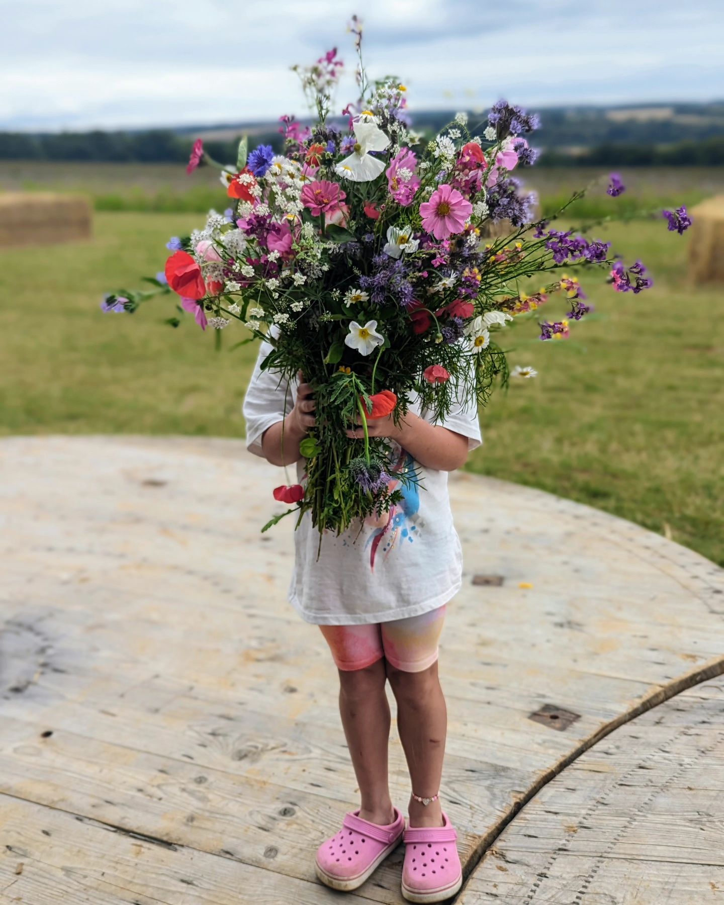The Flower Belt, Helmsley: PYO Wildflowers