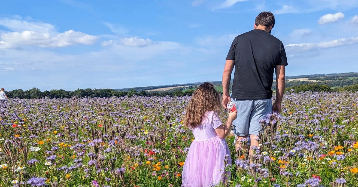 The Flower Belt, Helmsley: PYO Wildflowers