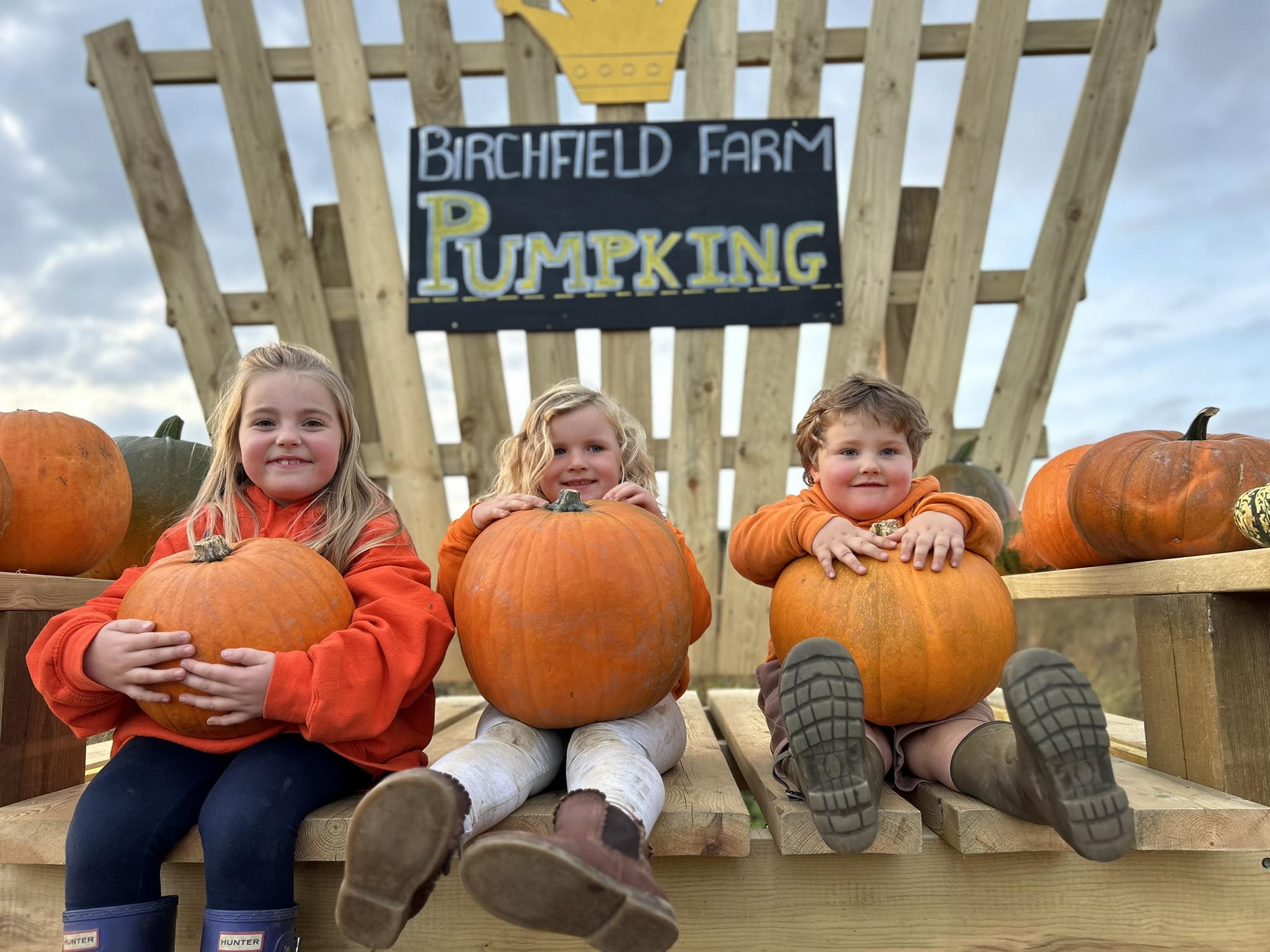 9 Of The Best Places For Pumpkin Picking In Yorkshire