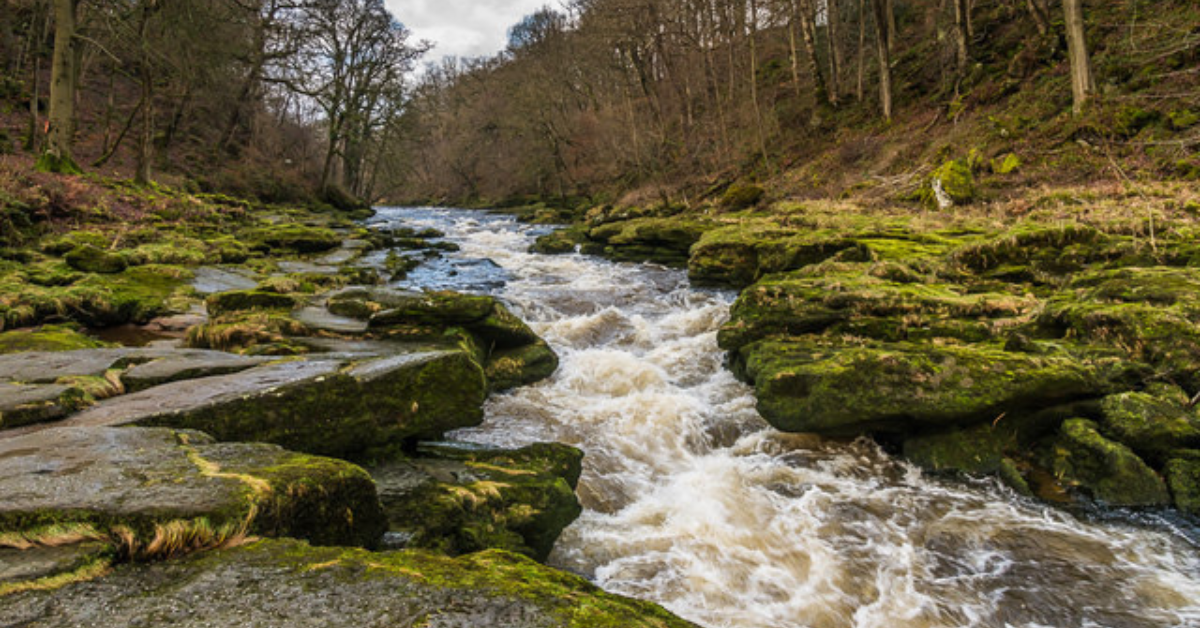 Man Lowers Camera Into 'World's Most Dangerous River' Found In ...