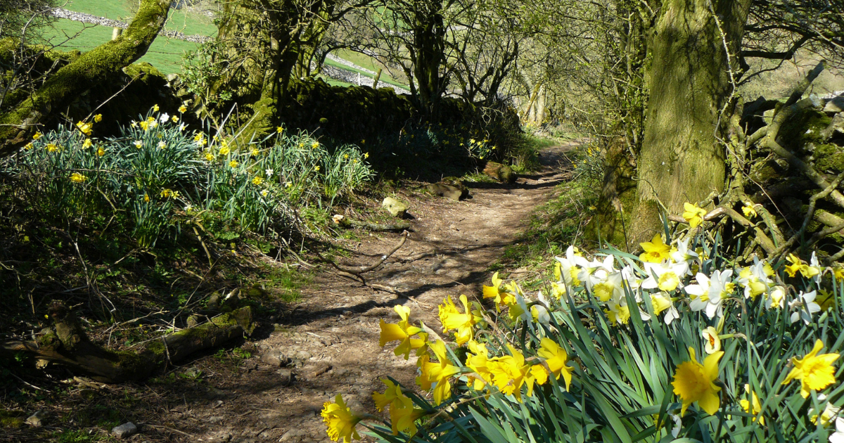 15 Hidden Gems In Yorkshire You Need To Visit