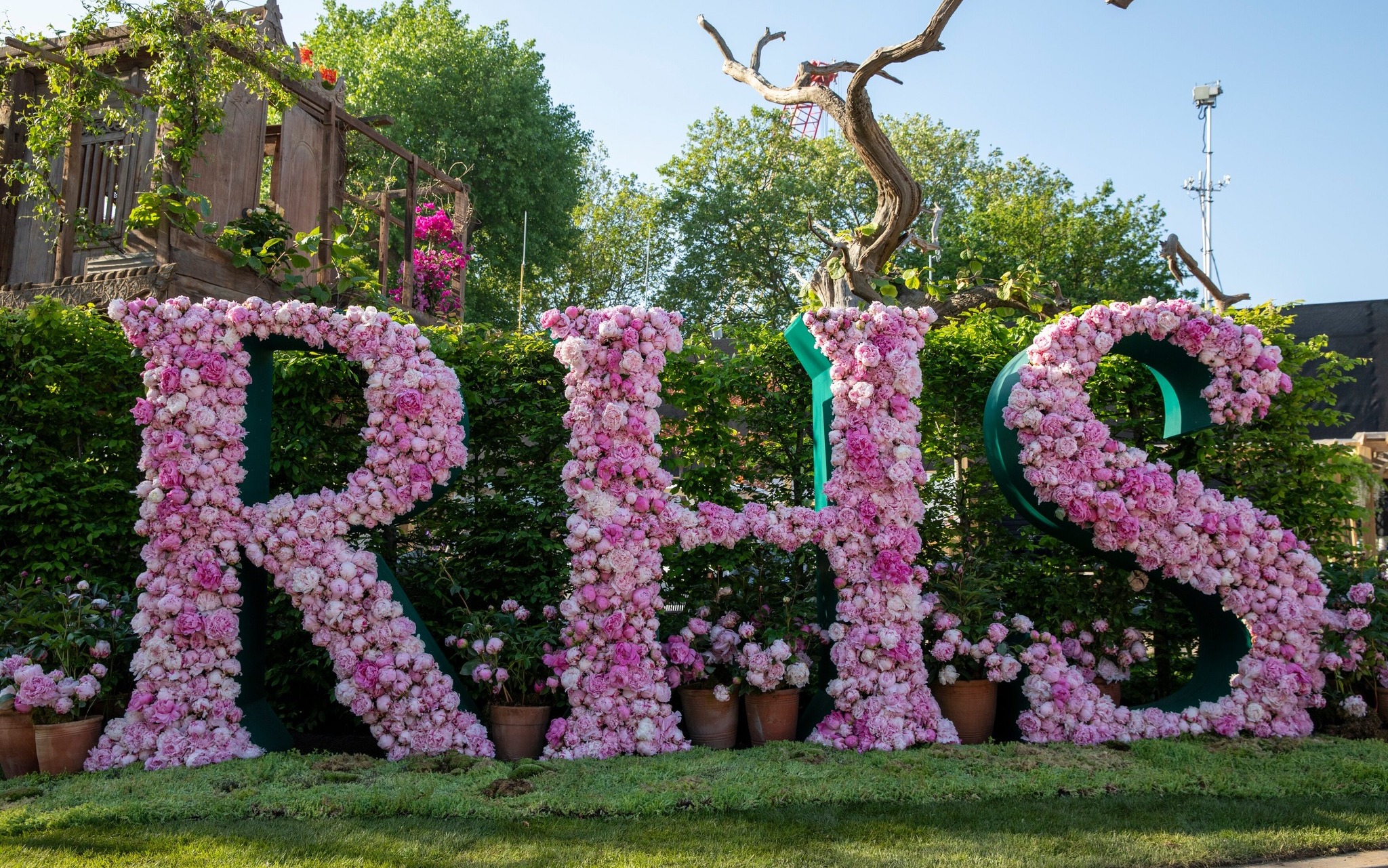 The RHS Flower Show Is Coming To South Yorkshire For The First Time ...
