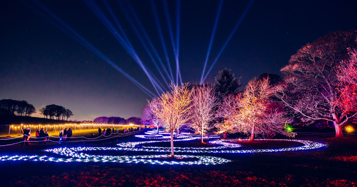 Northern Lights Leeds Christmas 2025: Everything You Need To Know