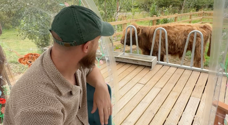 This Afternoon Tea With Highland Cows In Yorkshire Is A Truly Unique ...