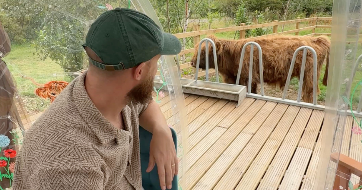 This Afternoon Tea With Highland Cows In Yorkshire Is A Truly Unique ...