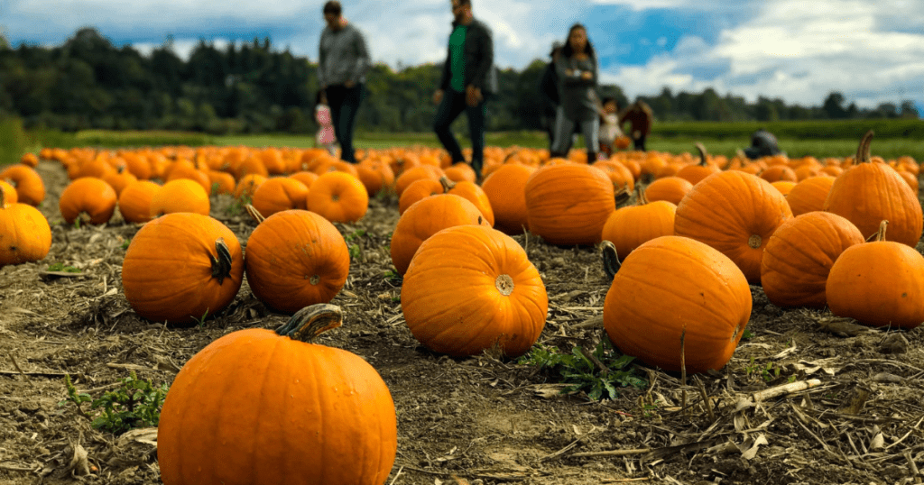 Hull Slang: Words & Phrases - The Yorkshireman