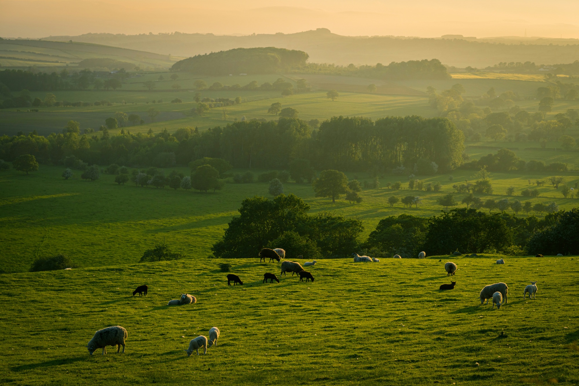 Yorkshire Is Set To Be Home To 'Europe's Biggest Food Hall' That Opens ...
